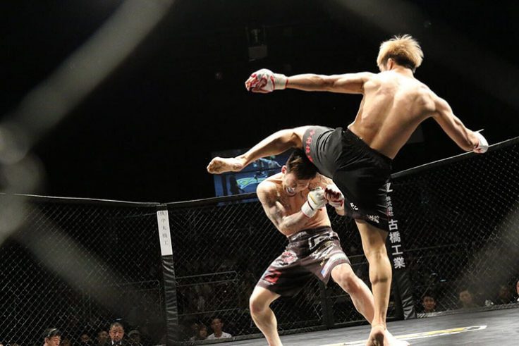 The 7 best MMA movies of all time - MBR Fight